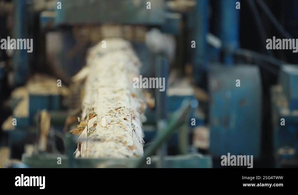 Heavy Automated Machine Processing Sawn Tree Log Into Material For ...