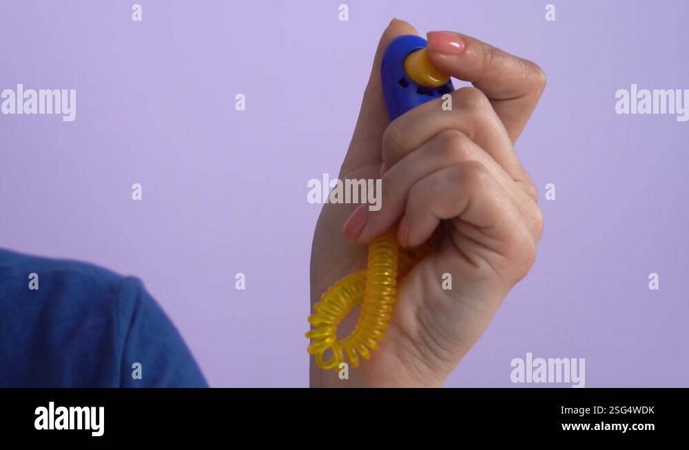 Woman hand presses button on clicker positively motivate dog by ...