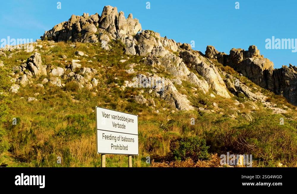 Feeding of baboons prohibited sign at Sir Lowry's Pass on mountain ...
