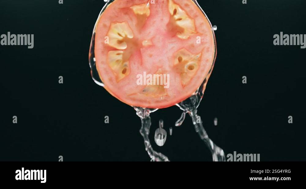 Water Flowing Down Fresh Tomato Slice with Liquid Drip in Slow Motion ...
