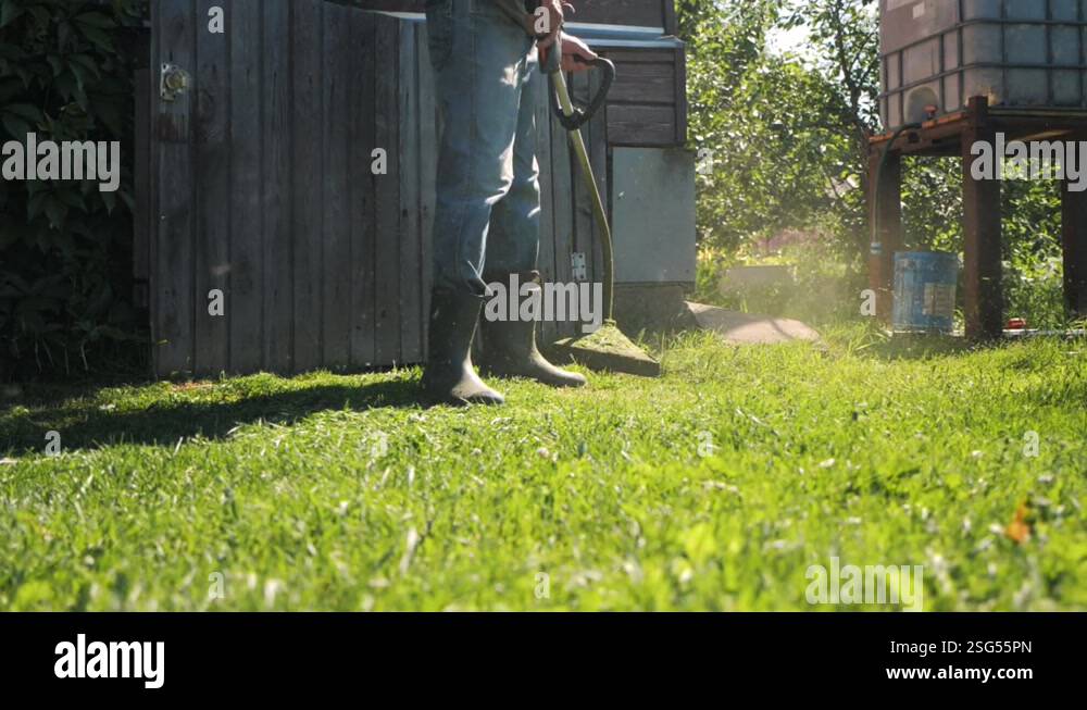 Male gardener mowing green lawn with manual gas grass mower, garden ...