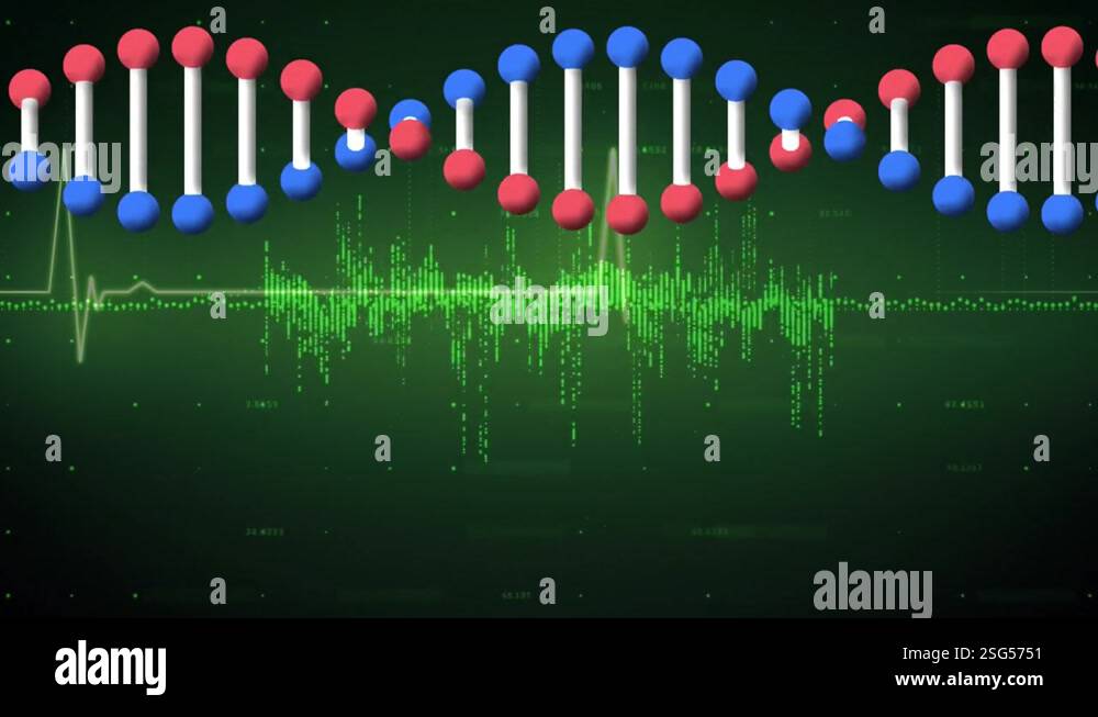 Animation of dna strand scope scanning over data processing Stock Video Footage - Alamy