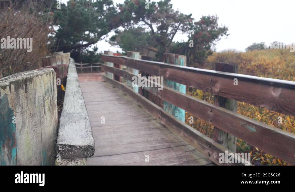 Wooden bridge on forest trail, boardwalk path for trekking, catwalk ...