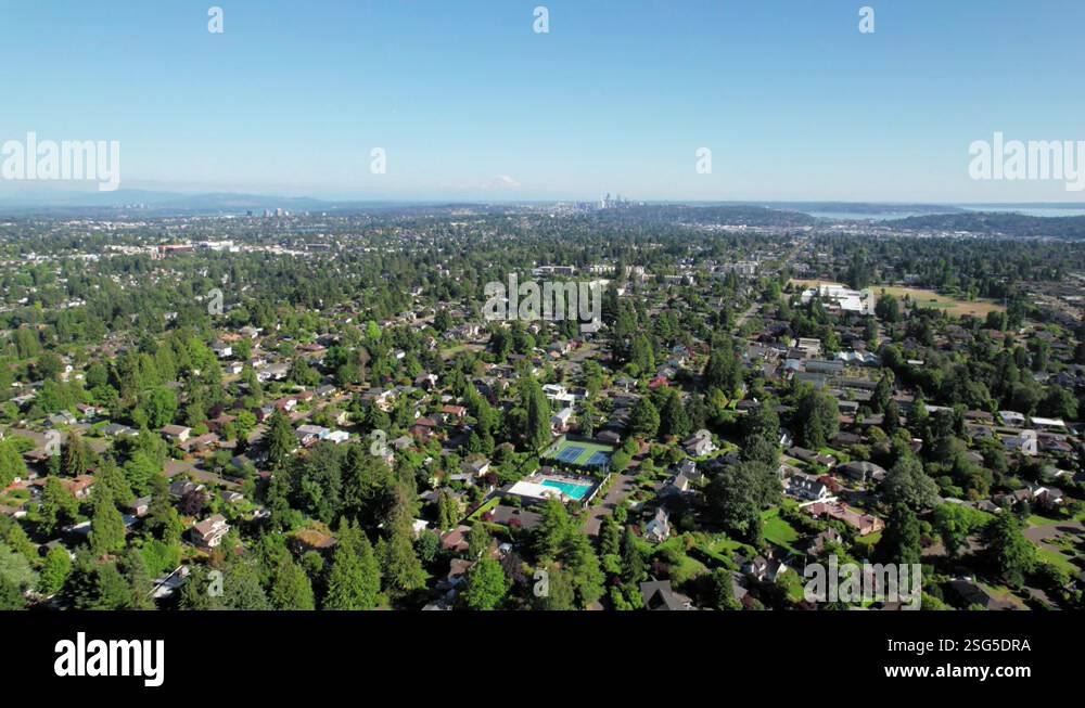 Homes and Evergreen Trees in Summer Aerial View of Seattle ...