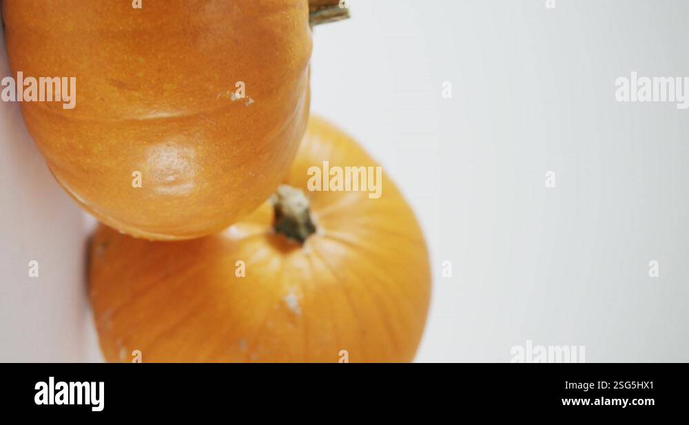 Vertical video of two large pumpkins rotating on white background Stock ...