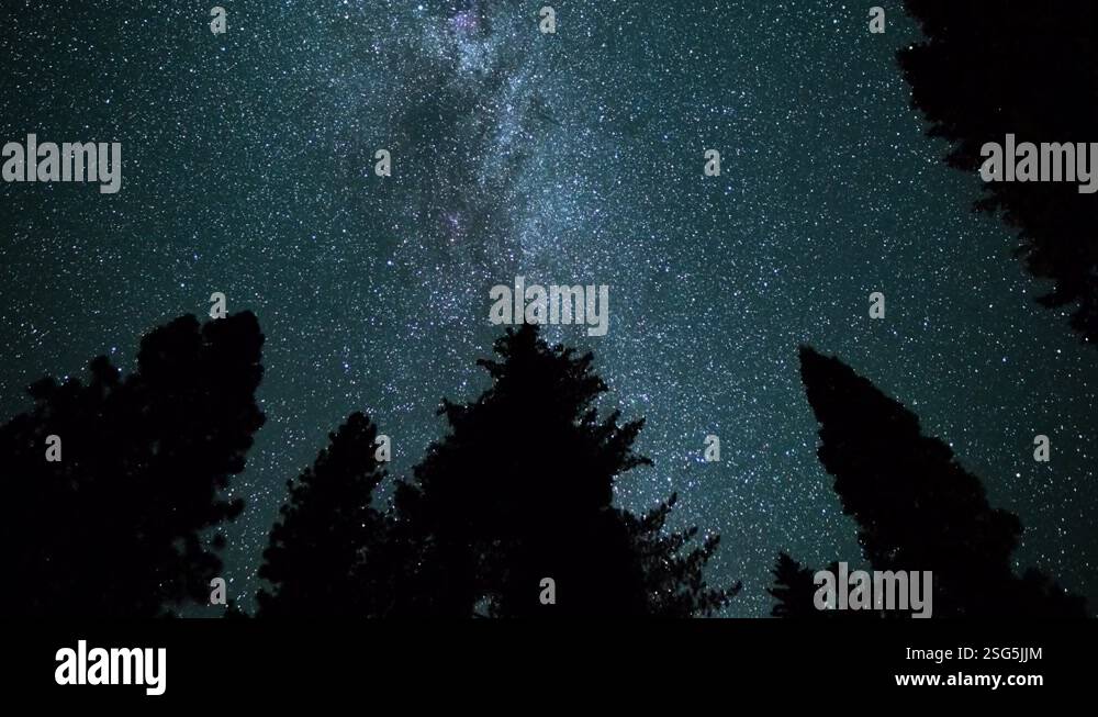 8K Sequoia National Park Milky Way Galaxy and Perseid Meteor Shower in ...