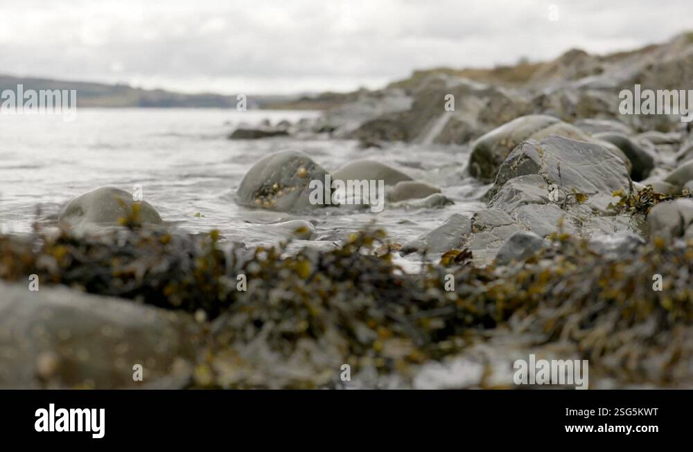 A shallow depth of field shows a gentle ebbing tide slowly moving ...