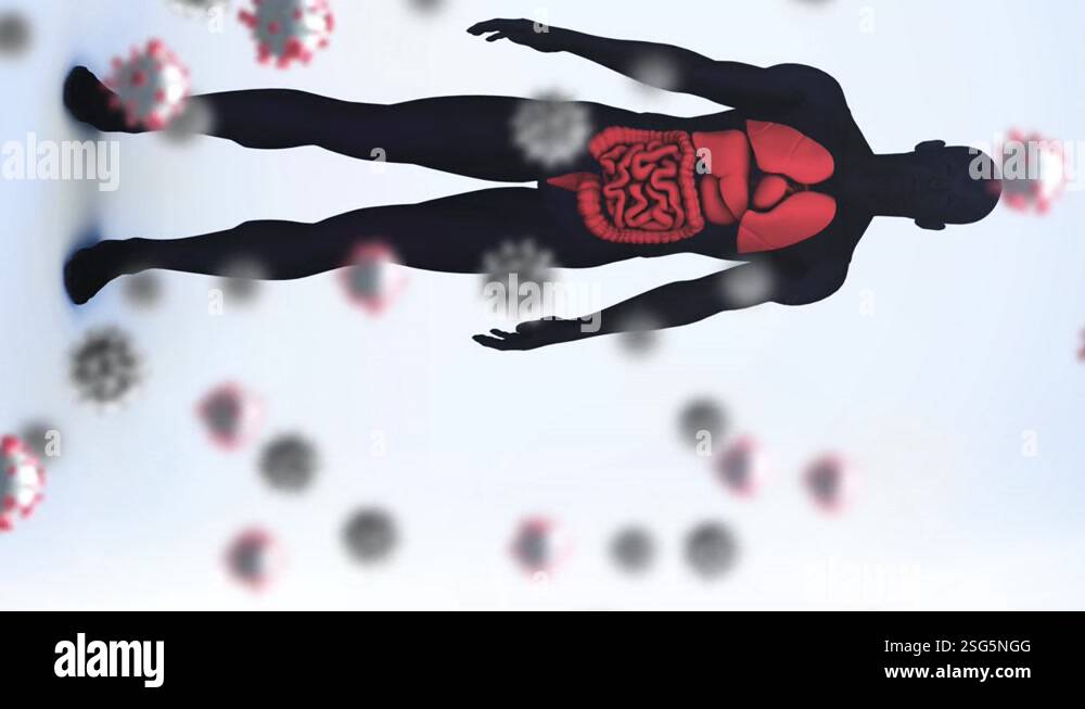 Animation of falling viruses cells over human body model Stock Video ...
