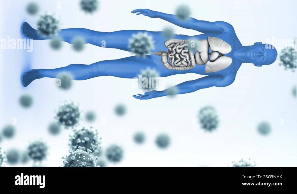 Animation of falling viruses cells over human body model Stock Video ...