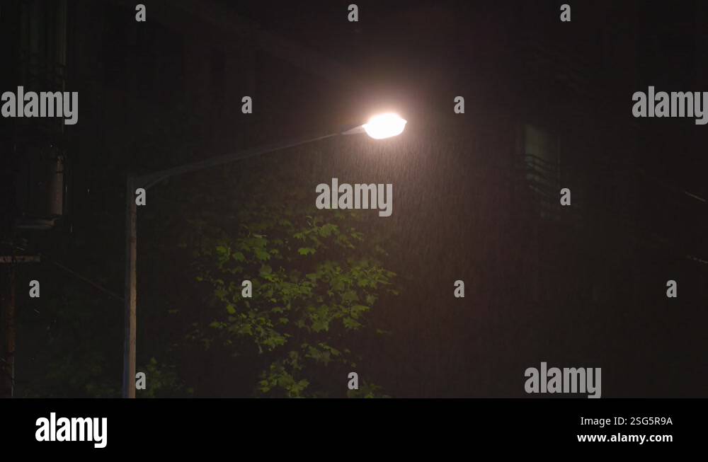 scenery of rainy day at night. Rain drops from the sky under a light ...