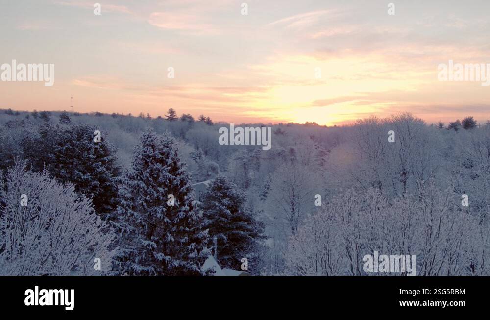 Drone rising straight up from behind a maple tree caked in snow to ...