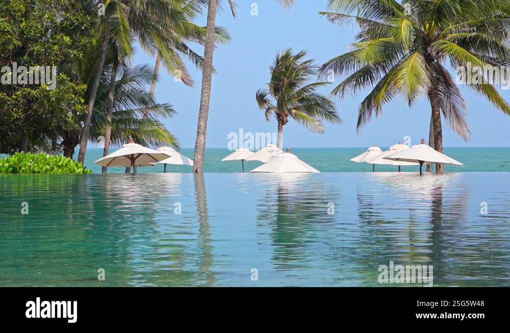 Tropical Resort Scenery, Infinity Pool and Parasols in Front of ...