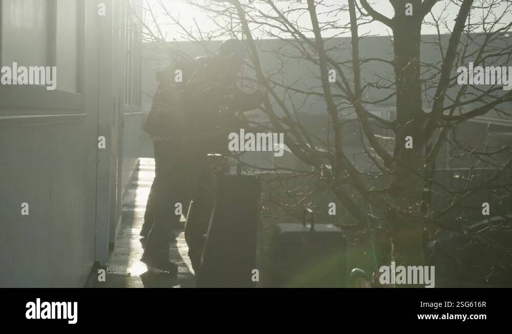 man trying to pull a branch off a tree while someone downstairs puts ...