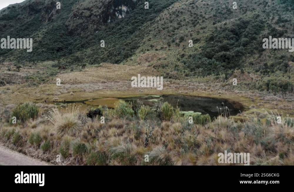 Hiking On The Trail Through Grassy Fields And Hot Springs At The ...