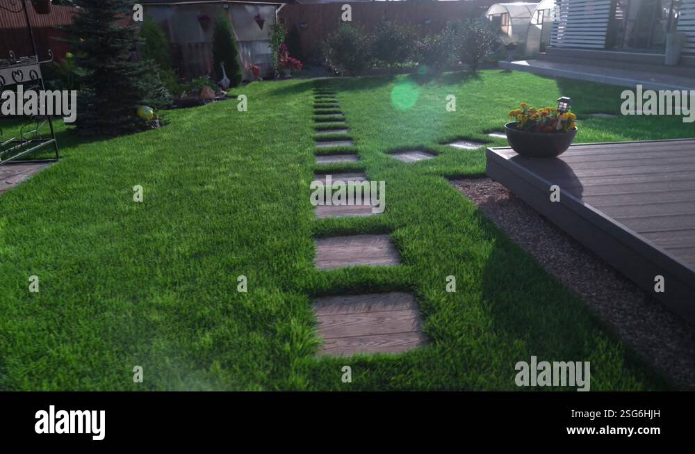 Straight line of new freshly installed green rolled lawn grass carpet ...