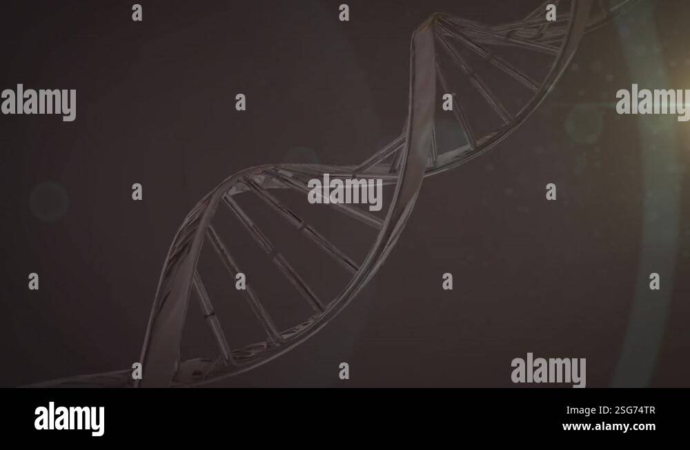 Animation of a 3d double helix DNA strand rotating in seamless loop on dark Stock Video Footage ...