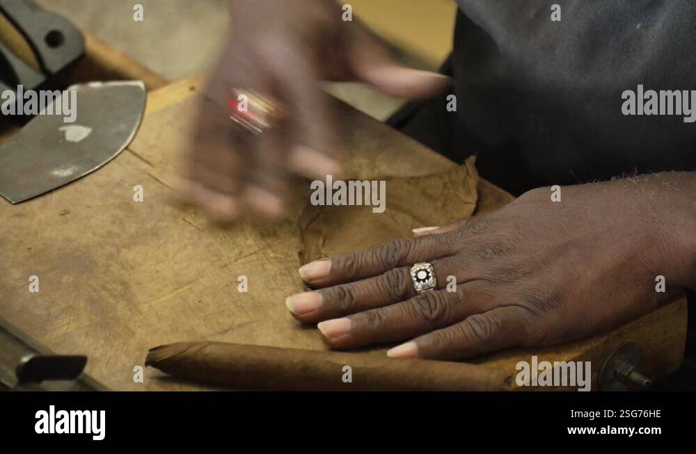 The process of a cuban cigar being made by hand in a cigar factory in ...