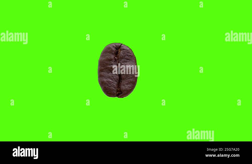 Extreme close up of a single coffee bean in front of green screen ...