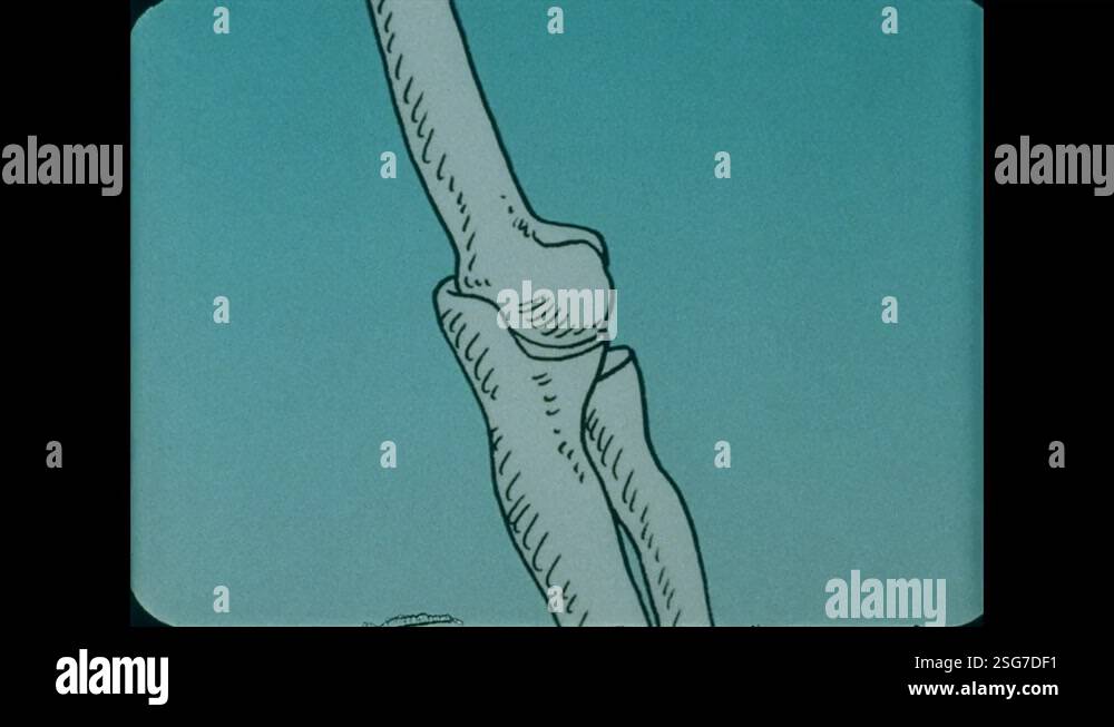 1990s: Animation - skeletal elbow bends back and forth, connective ...