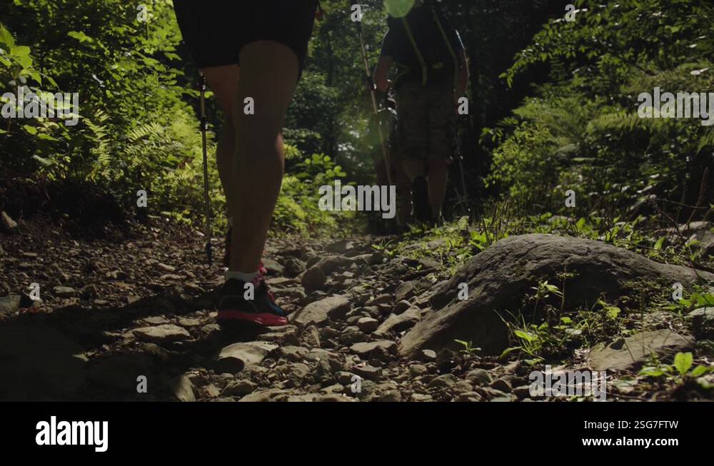 Close-up of feet of hikers in sports shoes moving up narrow stone path ...