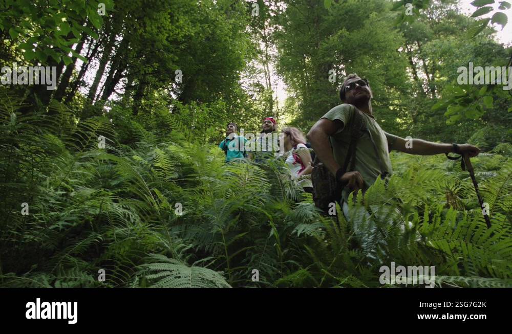 Group of nature Ornitholog scientists push their way through a densely ...