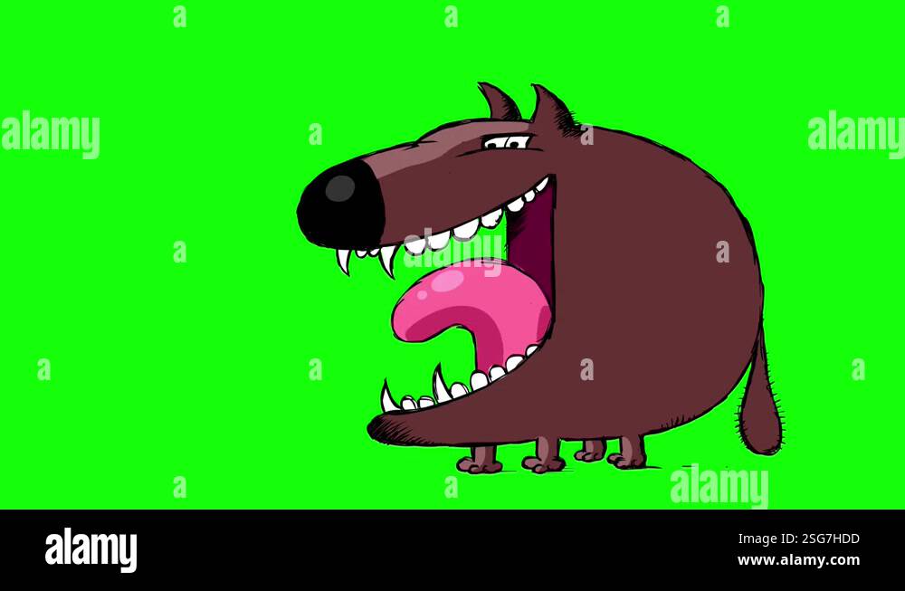 Woolf brown and black opening and closing his big mouth with long ...