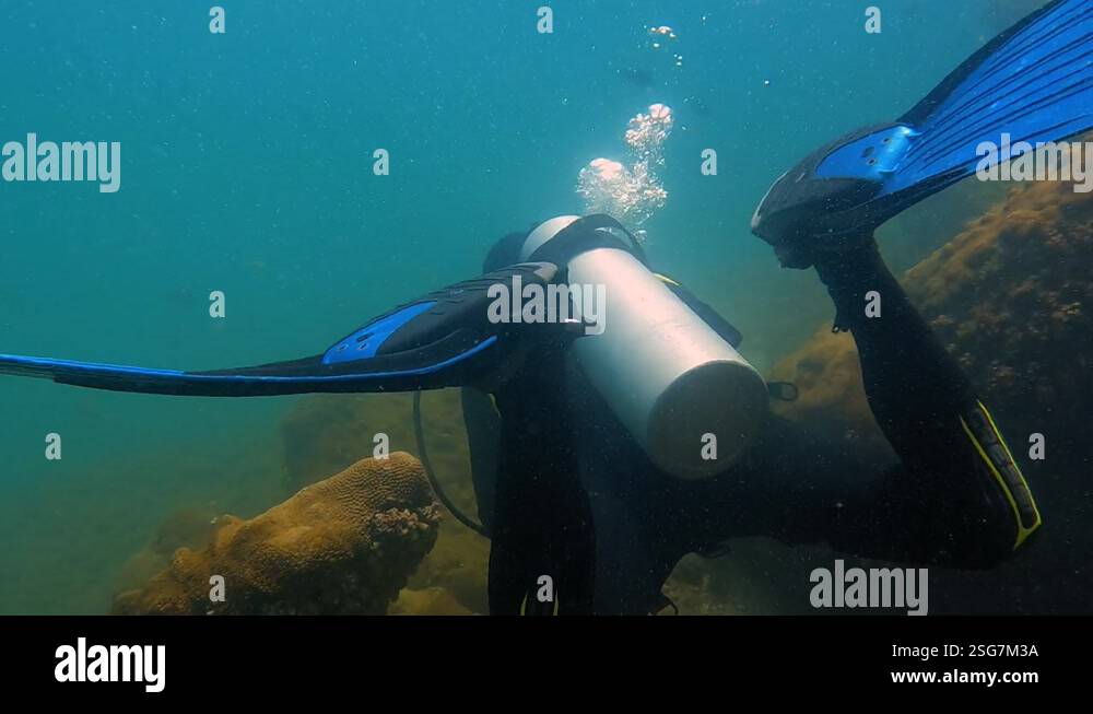 Following scuba diving exploring bottom of ocean from behind as he ...