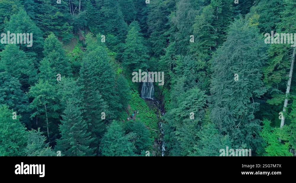 Scientists team approach waterfall in deep forest. Hiking scientific ...