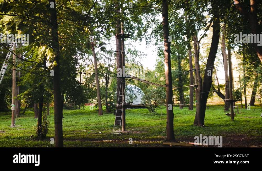 Forest Rope Park Hiking Climb Tree Rope Outdoor sports activity safety ...