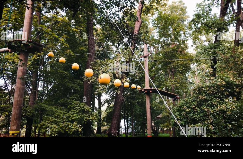 Forest Rope Park Hiking Climb Tree Rope Outdoor sports activity safety ...