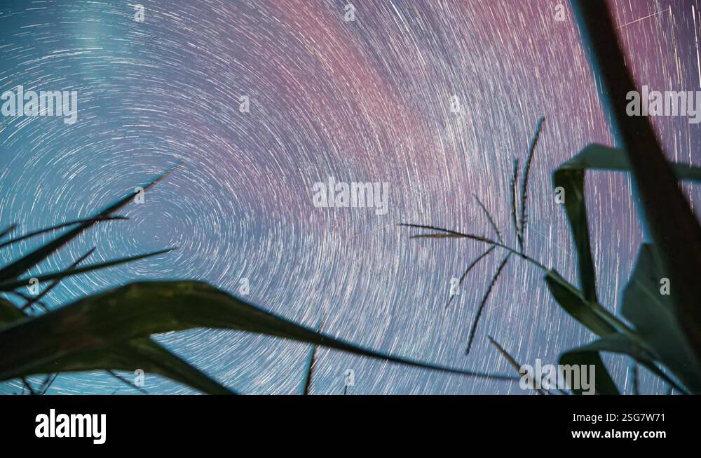 Spin Of Stars In Sky. Rotate Sky Background. Star Trails Timelapse. 4k ...