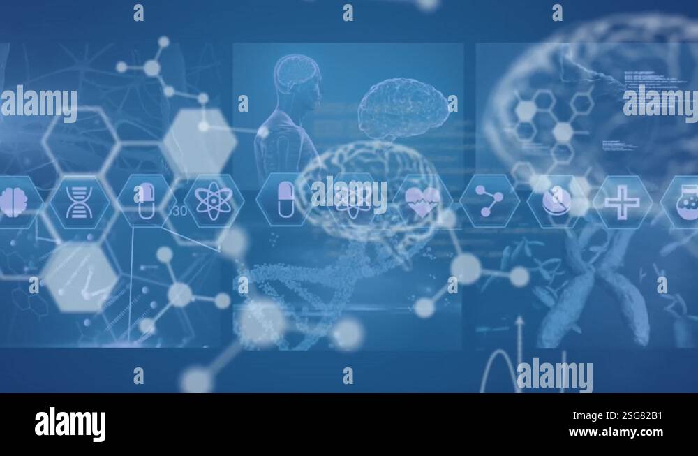 Body and brain Stock Videos & Footage - HD and 4K Video Clips - Alamy