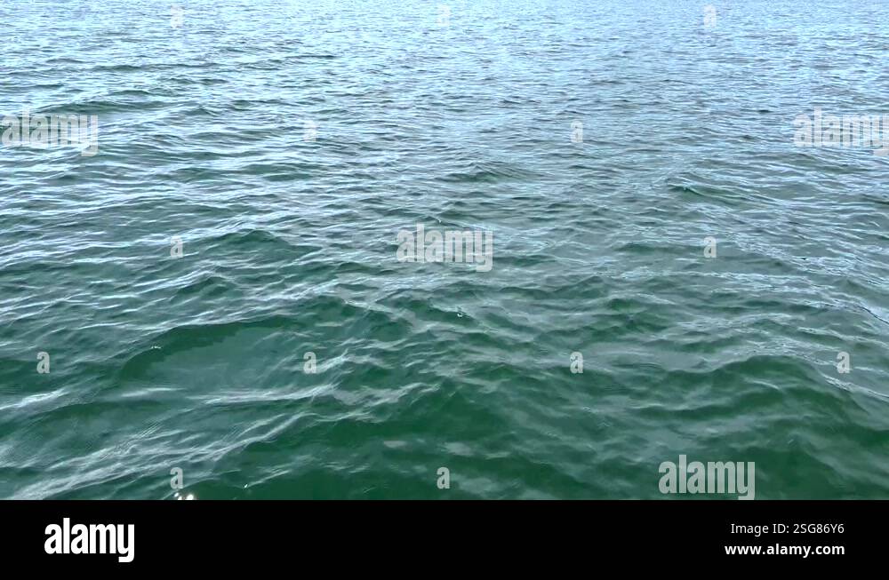 POV Moving in water from the bow of the boat as it steers right Stock ...