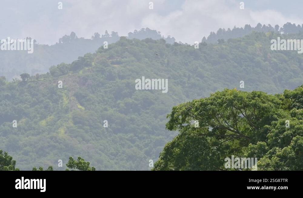 Blue Mountains in Kingston Jamaica, UWI Chapel, University of the West ...