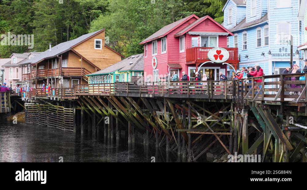 Ketchikan Alaska tidal river tourism boardwalk pier watching seals 8K ...