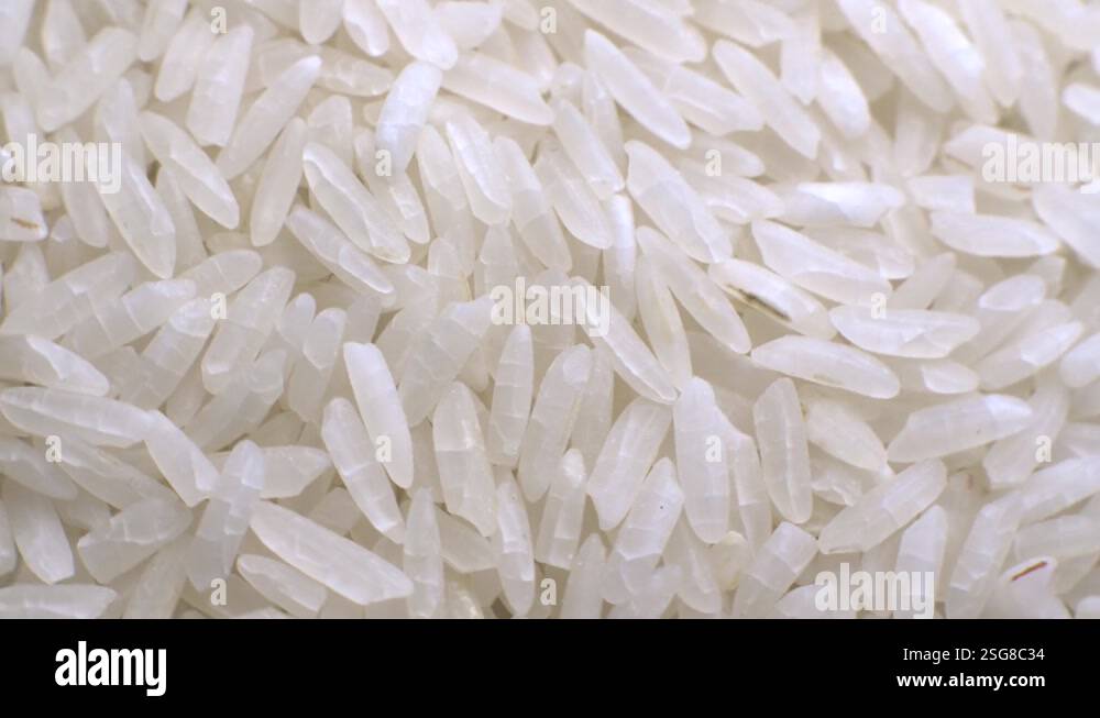 Extreme macro. Close-up of long polished uncooked rice. Traffic. High ...