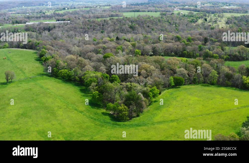 Dense Thicket With Evergreen Meadows During Property Surveillance In ...