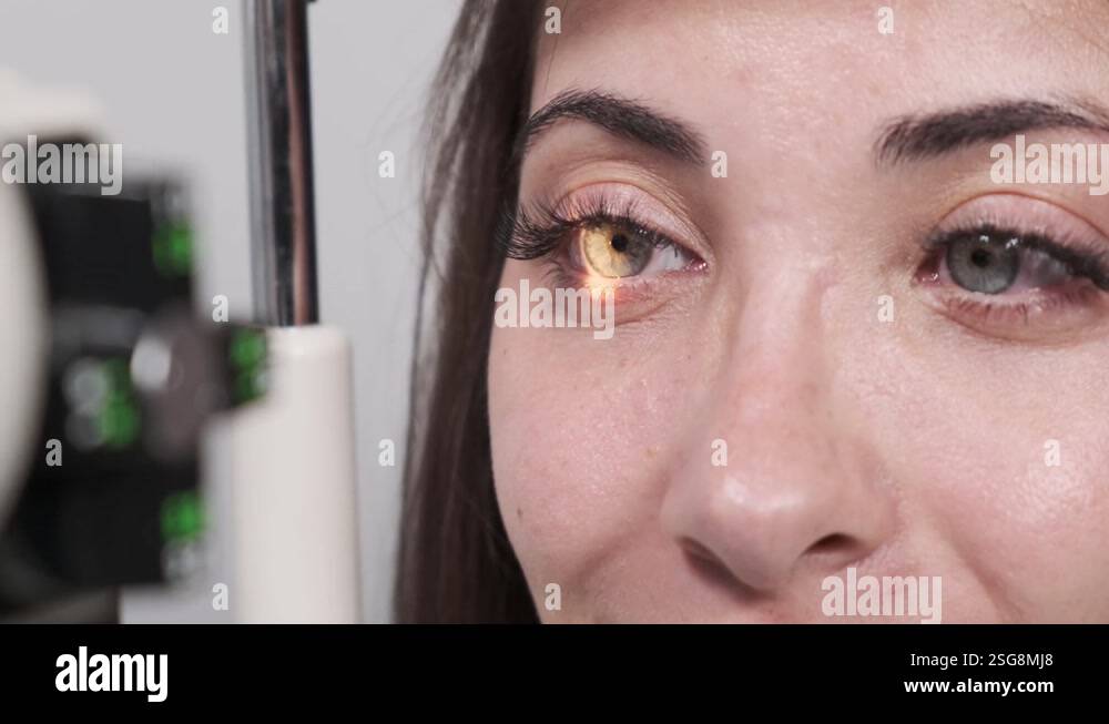 Attentive optometrist examining beautiful female patient with slit lamp ...