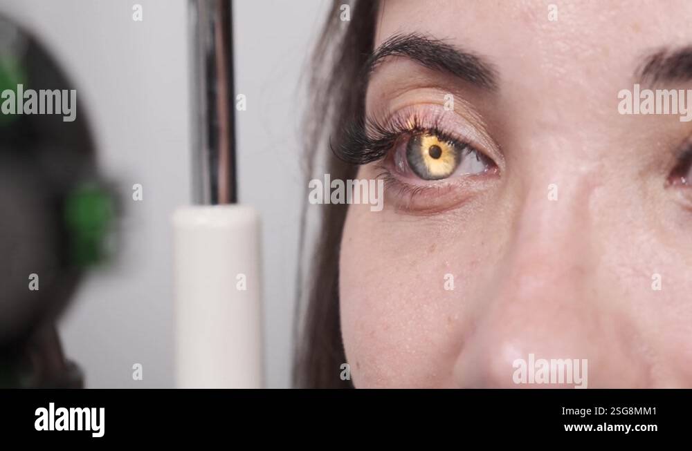 Attentive optometrist examining beautiful female patient with slit lamp ...