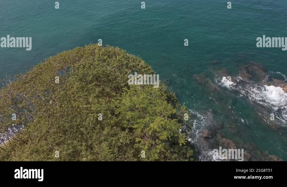 Slow Pan Down Over A Tree Revealing A Steep Cliff Face And Waves ...