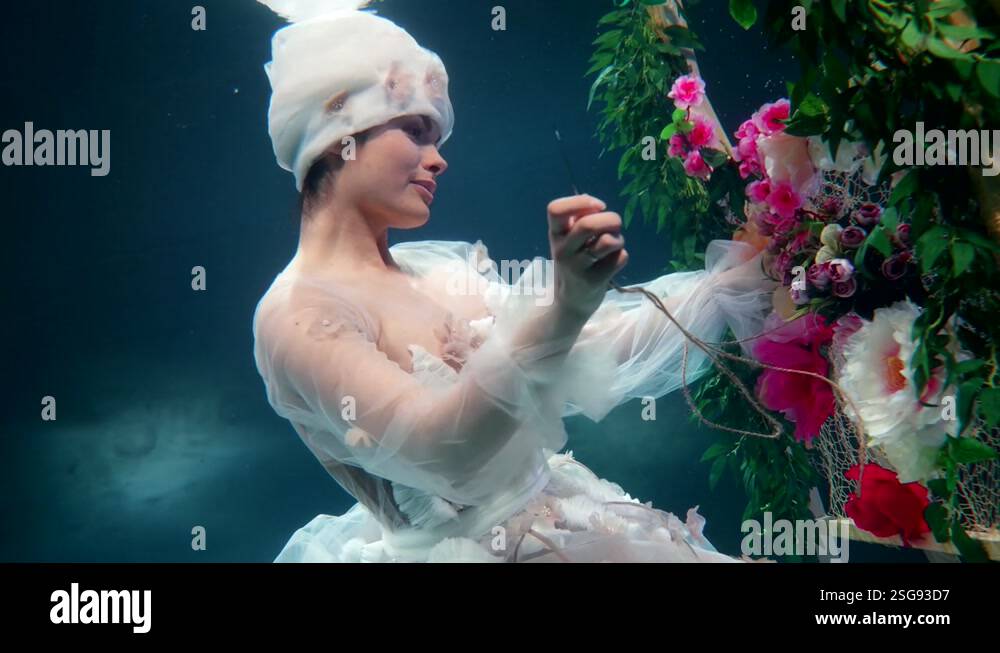 Fence underwater Stock Videos & Footage - HD and 4K Video Clips - Alamy