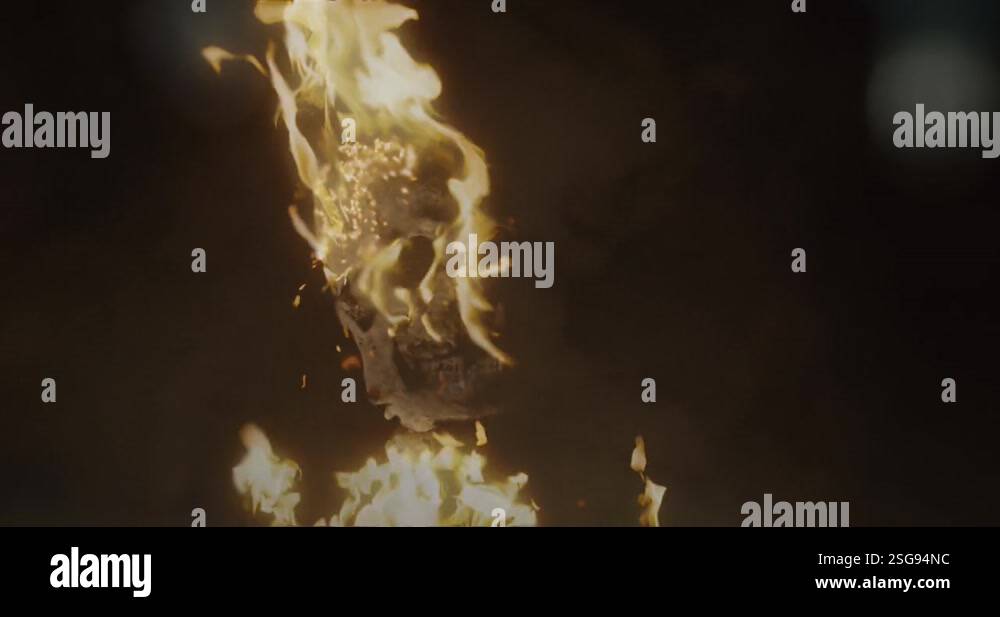 Plaster skull Stock Videos & Footage - HD and 4K Video Clips - Alamy