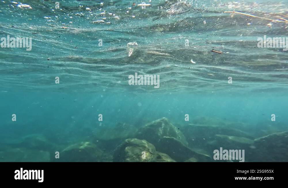 Microplastic underwater ocean Stock Videos & Footage - HD and 4K Video ...