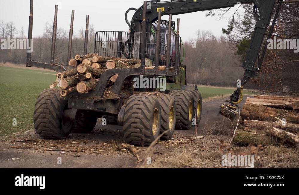 Grapple loader mechanical arm arranging heap of logs by forest road ...