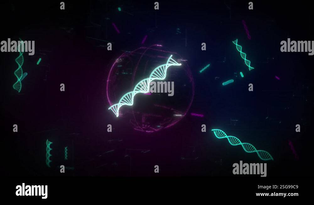 Microbiology Study Of Molecular Human DNA With Helices Flying In ...