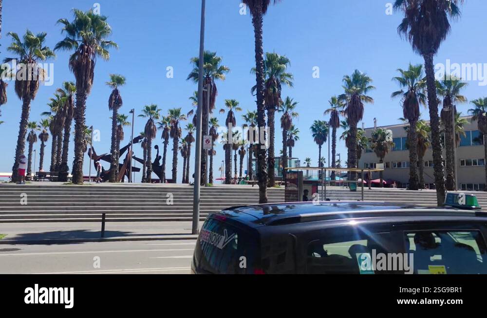 Plaza del Mar palm sqaure in Barcelona. Street view in Spain. Panning ...
