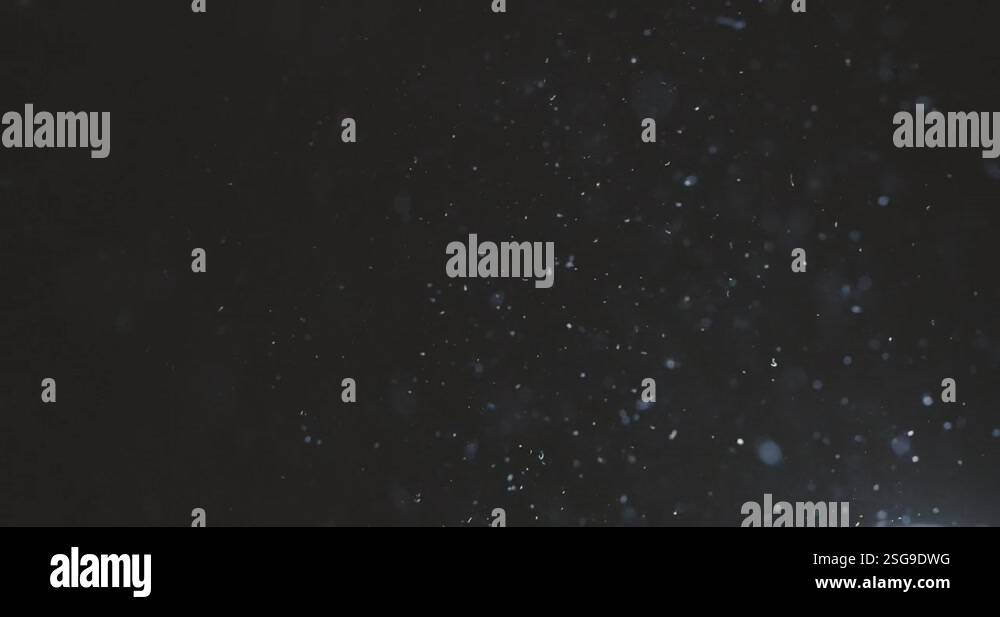 Shot of real dust particles floating in the air. Dust Particles ...