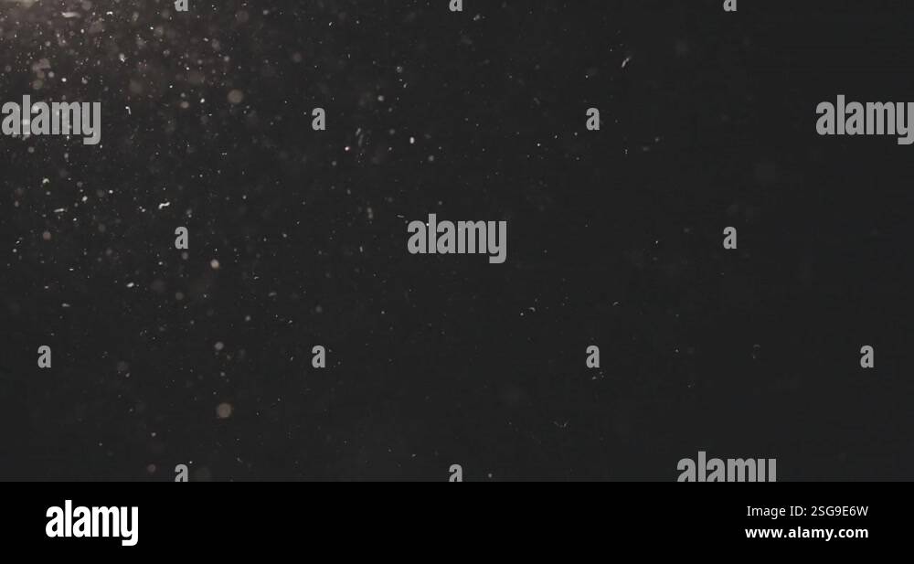 Shot of real dust particles floating in the air. Dust Particles ...