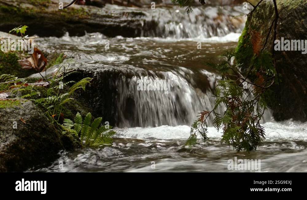 Spiritual water use Stock Videos & Footage - HD and 4K Video Clips - Alamy