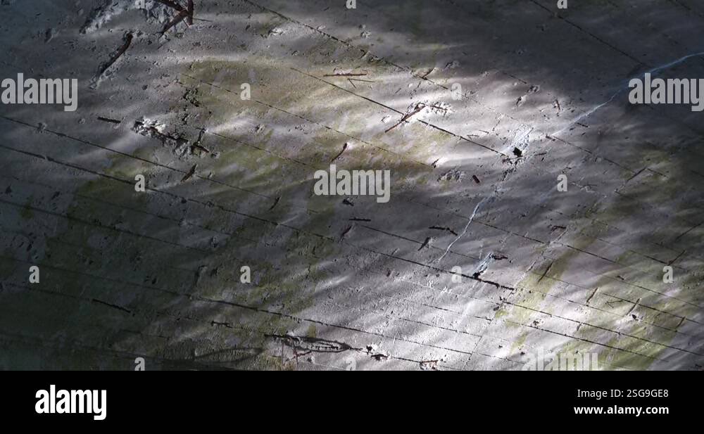 Water reflects sunlight on walls of tunnel, reflection of sunlight from ...